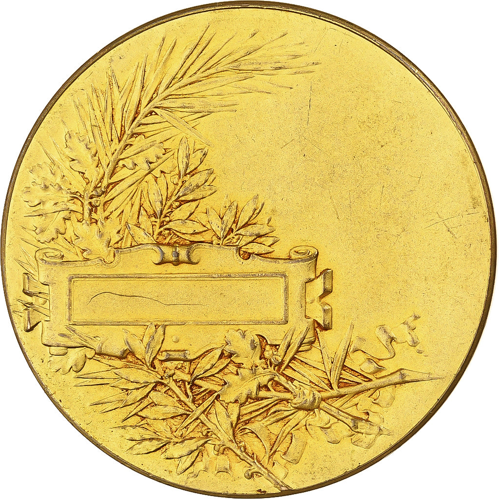 Francia medalla Ministère de la Guerre Communications aériennes Bronce ...