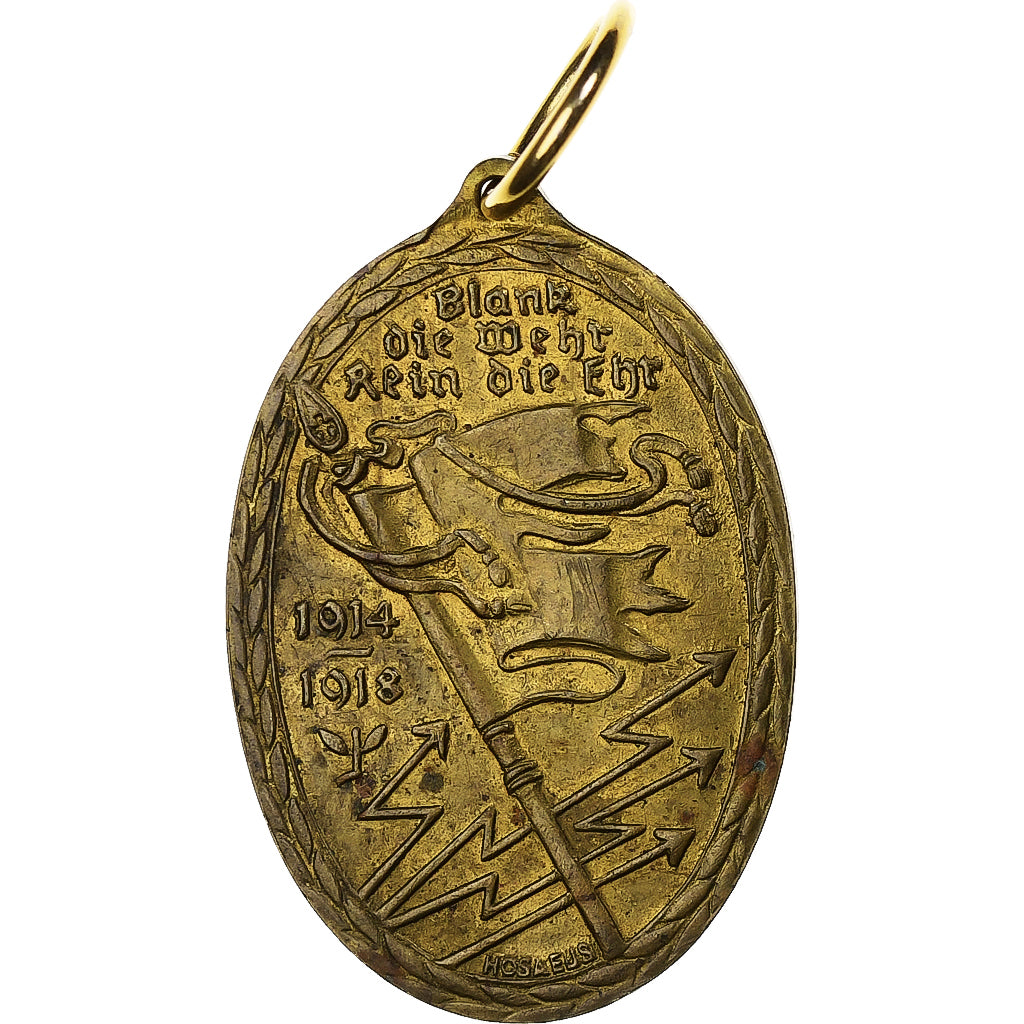 Germany Medal Blank die Wehr Rein die Ehr 1914-1918 Bronze Hosaeus ...