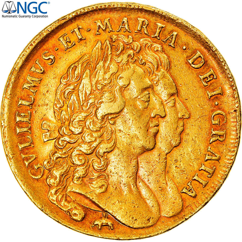 Great Britain William and Mary 5 Guineas 1691 London Eléphant Gold NGC ...