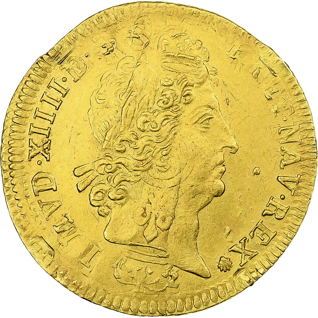France Louis XIV Louis d'Or Louis d'or aux 8 L et aux insignes 1702 ...