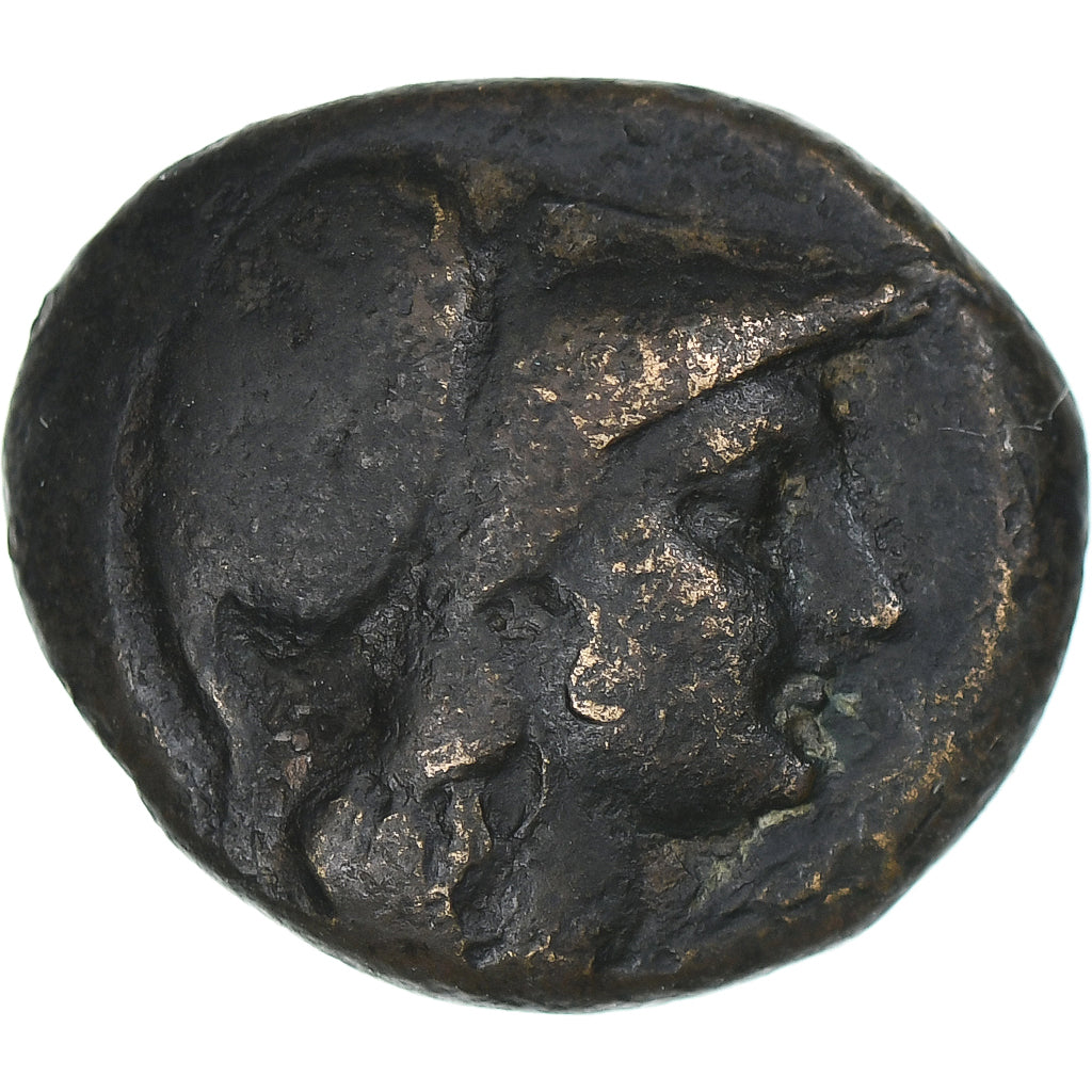 Kingdom of Macedonia Antigonos Gonatas Æ 277/6-239 BC EF(40-45) Bronze ...