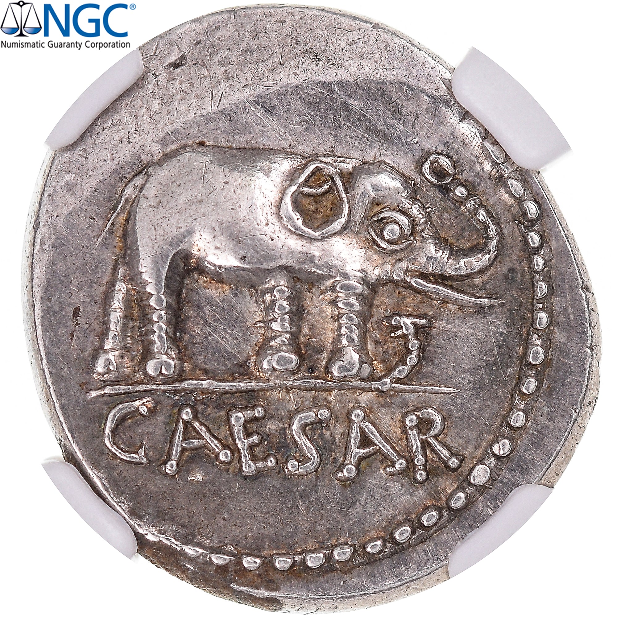 Coin Julius Caesar Denarius 49-48 BC Military mint graded NGC AU 5/5 4/ ...