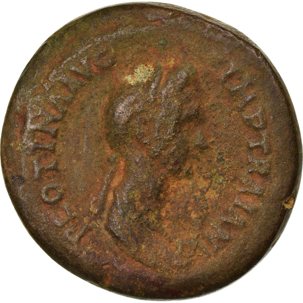 Coin Plotina Cast Paduan Sestertius 16-17th century EF(40-45) Bronze ...